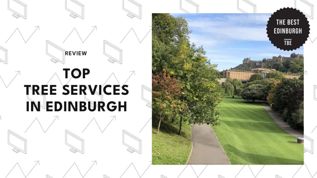 Top 10 tree services in Edinburgh for expert care [2026 ]